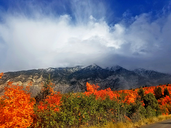 Fall in Provo Canyon paints the mountains with colors so vivid you'll think Mother Nature discovered Instagram filters before the rest of us.