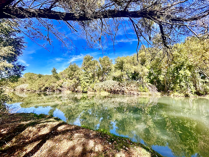 The Verde River doesn't rush; it meanders like someone with nowhere to be and all day to get there.