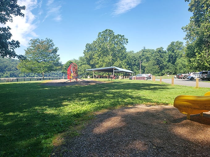 Riverfront pavilions: where family reunions become legendary, potato salad gets critiqued, and at least one uncle falls asleep in a lawn chair.