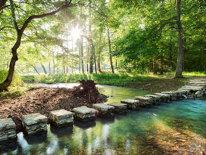 Mother Nature's stepping stones invite adventurous souls across crystal waters, like a real-life version of that river-crossing video game we all played as kids.