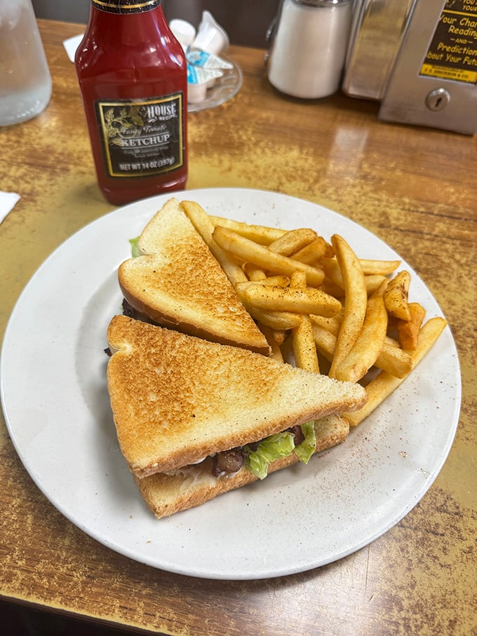 The humble sandwich elevated to art form &ndash; perfectly toasted bread, crisp fries, and that bottle of house ketchup standing by like a loyal friend.