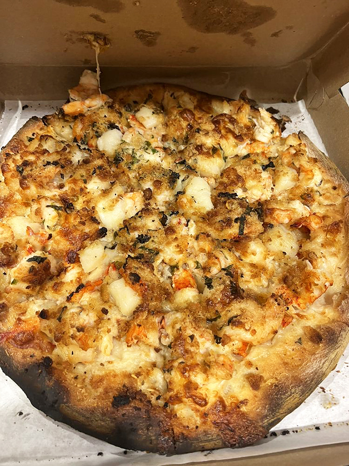 The seafood pizza showcases Connecticut's coastal bounty. Those golden chunks of fresh clam are like buried treasure on a sea of melted perfection.