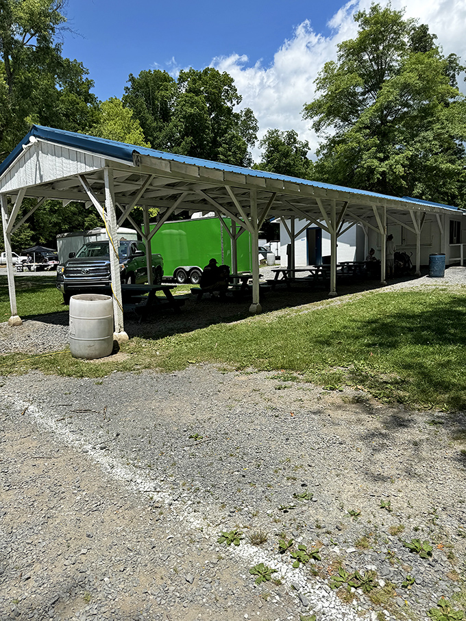 When vendors need shade, ingenuity prevails. This rustic pavilion offers respite from summer heat, proving that at a good flea market, even the infrastructure tells a story.