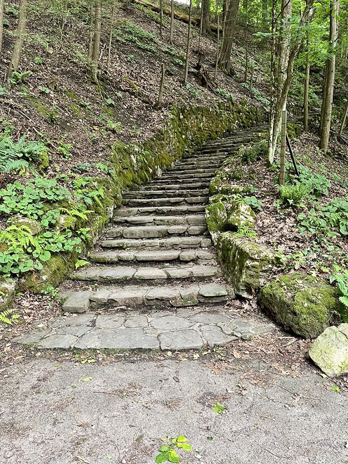These moss-covered stone steps seem to whisper, "Follow me to adventure," like the opening scene of an epic nature documentary.