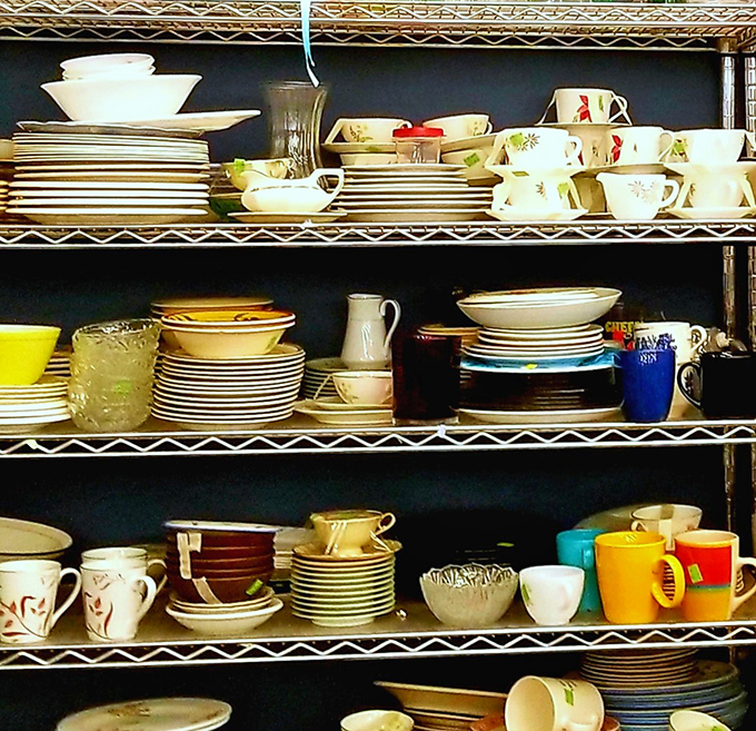 Dish-covery zone! Every cup and plate tells a story, from vintage patterns your grandmother would recognize to barely-used modern classics.