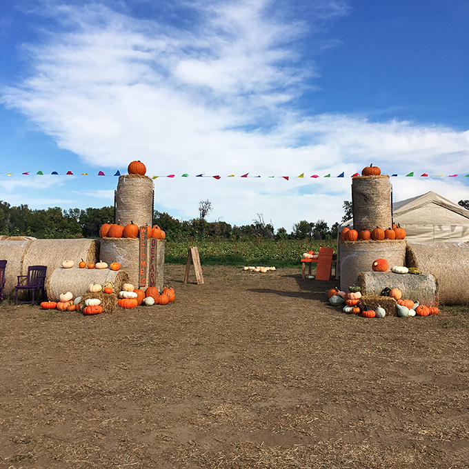 Fall in Bayard means pumpkin displays that would make Charlie Brown weep with joy&mdash;these gourd-geous arrangements transform hay bales into seasonal art installations.