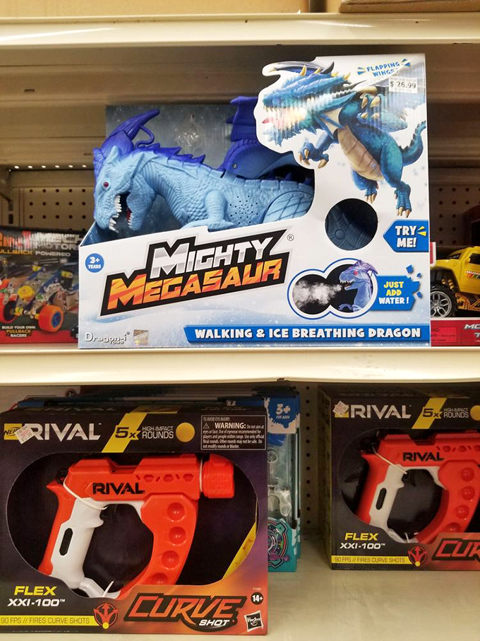 Toy aisle magic where dragons breathe ice and Nerf battles await. Grandparents, this is where you become the cool one in the family.