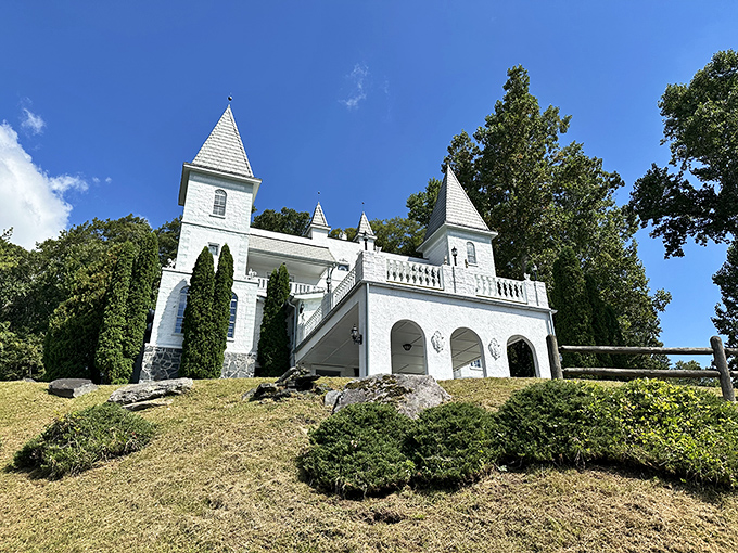 Perched majestically on its hillside throne, Smithmore Castle commands views that would make European royalty jealous. No moat required when you've got those mountains.