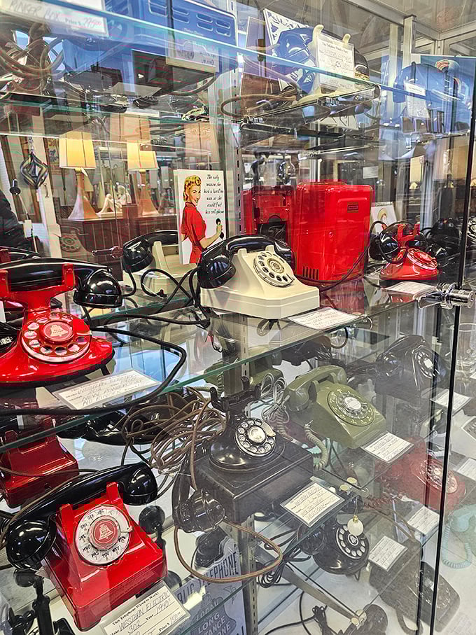 Before smartphones made us scroll, these rotary beauties made us spin. Each one holds a thousand hello's and goodbye's from another era.