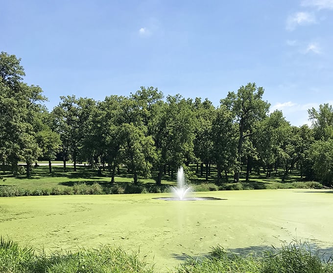 A fountain creates the perfect centerpiece in this urban oasis. Like nature's version of a lava lamp, but with better air quality.