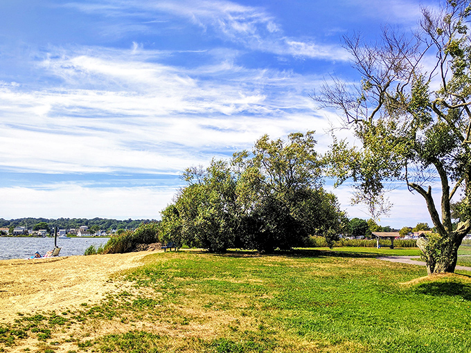 Where land meets water at Williams Beach Park, offering a tranquil escape that feels miles away from everyday worries.