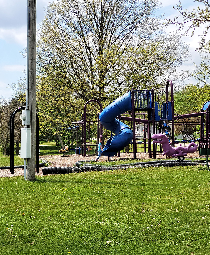 Wings Park playground stands ready for grandkids' visits, where the sound of children's laughter comes without admission fees.