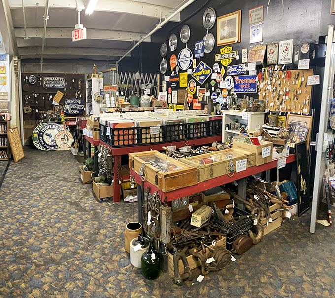 Vintage treasures and curiosities create a museum where everything's actually for sale at steal prices.