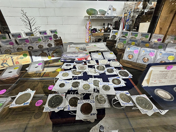 History you can hold in your hand&mdash;each coin and medallion represents a moment in time, carefully preserved and displayed for collectors and the curious alike.