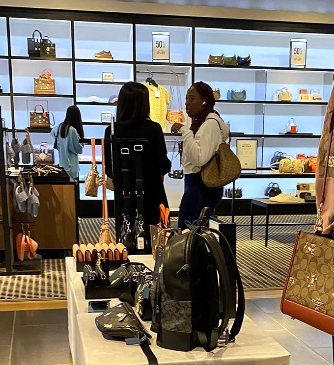 Shoppers contemplating which Coach bag deserves adoption—a decision process that rivals choosing a college or naming a firstborn.