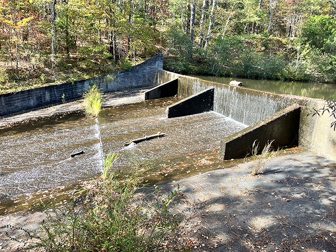 Engineering meets nature at Lake Lurleen's dam&mdash;where rushing water creates a symphony that even the most expensive noise machines can't replicate.