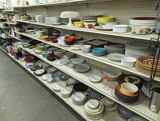 Dish-a-palooza! From grandma's vintage Pyrex to modern minimalist plates, your dinner table's next conversation piece is waiting.
