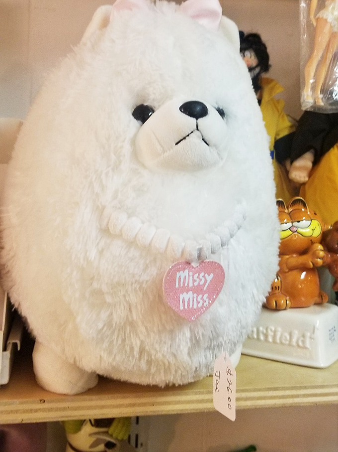 Missy Miss isn't just a stuffed animal; she's waiting to become someone's cherished companion again. Garfield approves from the neighboring shelf.