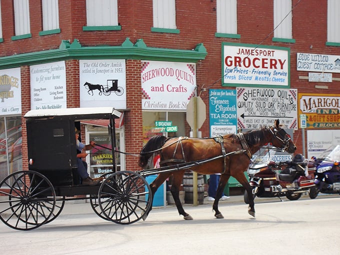 Not a historical reenactment but everyday transportation in Jamesport, where horse-drawn buggies share roads with pickup trucks in perfect harmony.