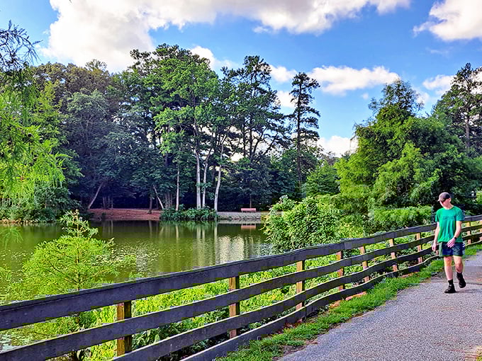 The park's walking paths offer front-row seats to Mother Nature's greatest hits. No ticket required, just comfortable shoes and a willingness to be wowed.