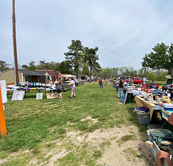 The outdoor section transforms into a pop-up neighborhood on sunny days, where conversations flow as freely as the deals.