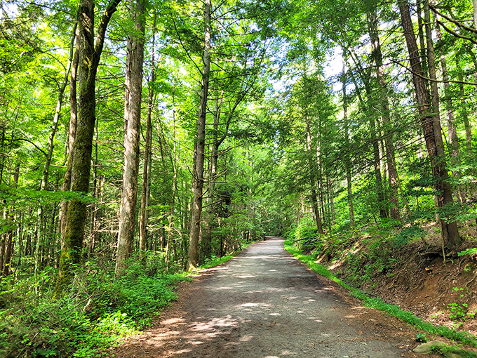 This sun-dappled trail practically begs you to take a leisurely stroll. No treadmill ever offered views this good.