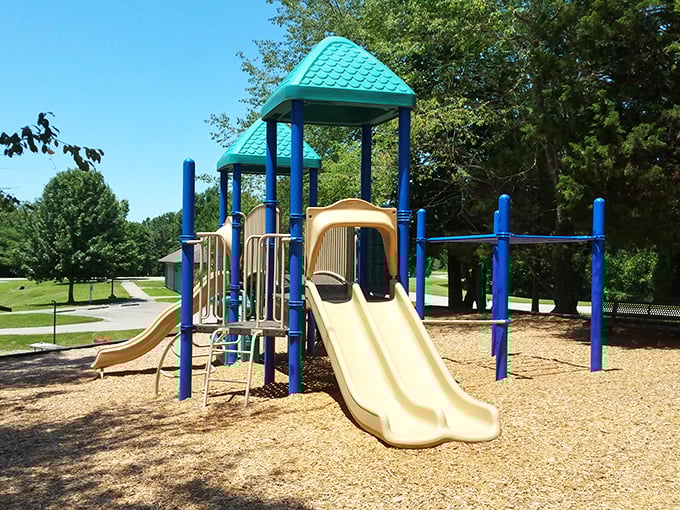 Childhood joy engineered in primary colors. This playground proves that sometimes the simplest pleasures still create the biggest smiles.