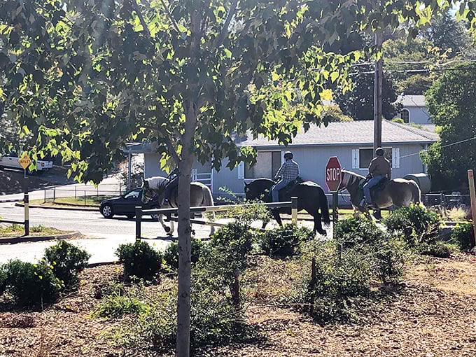 Where cowboys still ride! Auburn embraces its Western heritage with horseback riders casually navigating suburban streets &ndash; no time machine required.