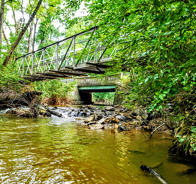 This rustic bridge crossing feels like stepping into a storybook – the kind where cell service conveniently disappears and nobody minds.