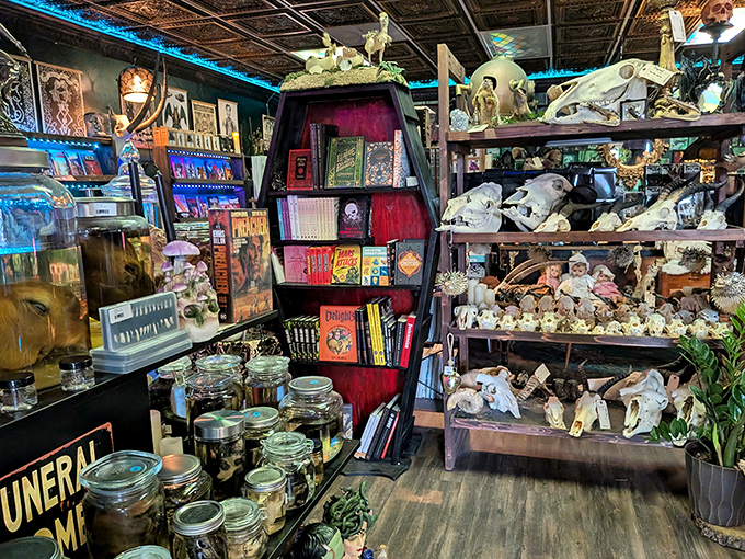A coffin-shaped bookcase surrounded by specimen jars and skulls&mdash;because ordinary bookshelves are for ordinary bookstores, and this place is anything but.