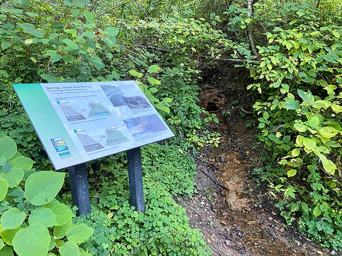 Nature's own interpretive center. Educational signage brings the landscape to life, explaining geological features that shaped this magical corner of Indiana.