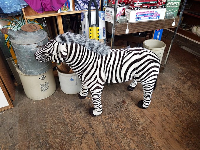 "I once went on safari and all I brought back was this life-sized zebra." Someone's living room conversation starter awaits!