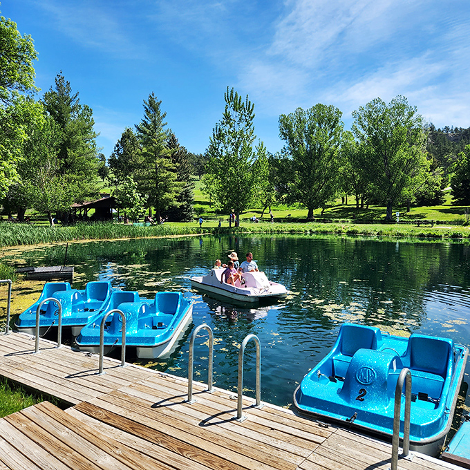 Paddle boats: where family bonding meets competitive racing. "I'm not paddling harder, YOU need to paddle harder!"