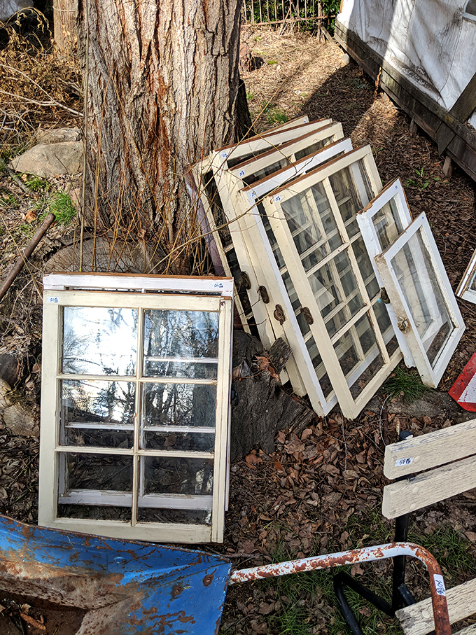 Old windows leaning against a tree trunk aren't just architectural salvage &ndash; they're portals to homes that once were, waiting for creative rebirth.