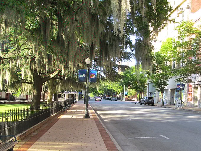 New Bern's streets drip with Southern charm under Spanish moss canopies&mdash;nature's free air conditioning for budget-conscious strollers.