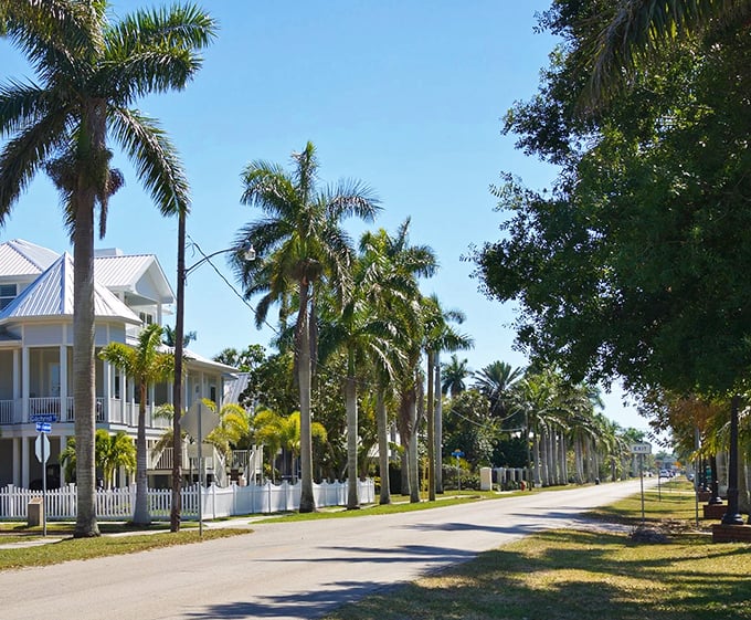 Punta Gorda's palm-lined streets are like nature's welcome committee, where royal palms stand at attention guarding affordable paradise.
