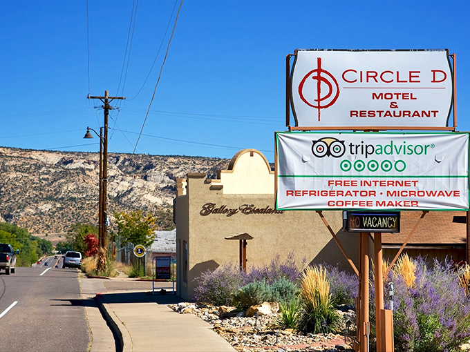 Lavender blooms frame this classic Escalante motel sign, proving that in Utah's small towns, even the mundane becomes magical against those impossible skies.