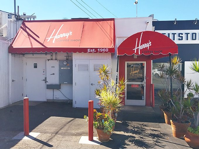 Family-owned since 1960, where the coffee mugs are as thick as the morning newspaper and twice as satisfying.