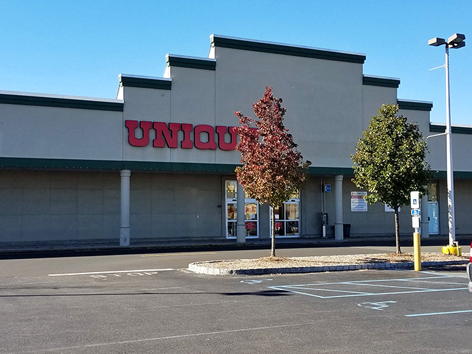 The modern storefront design proves that thrift shopping has evolved into a sophisticated treasure hunt experience.