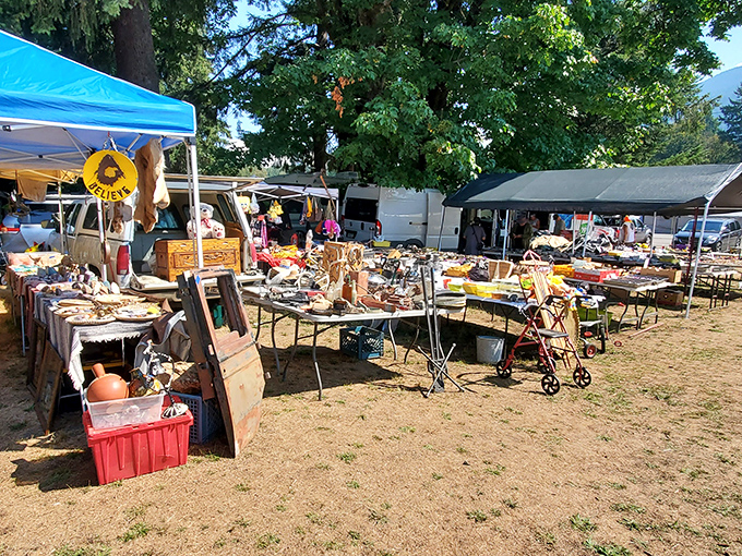 Tables piled with antiques stretch across Packwood&rsquo;s open field, offering relaxed treasure hunting under mountain skies.