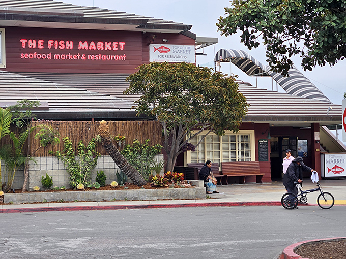 Palm trees frame The Fish Market like nature's exclamation points. "Eat here!" they seem to say, swaying in agreement with every satisfied customer.