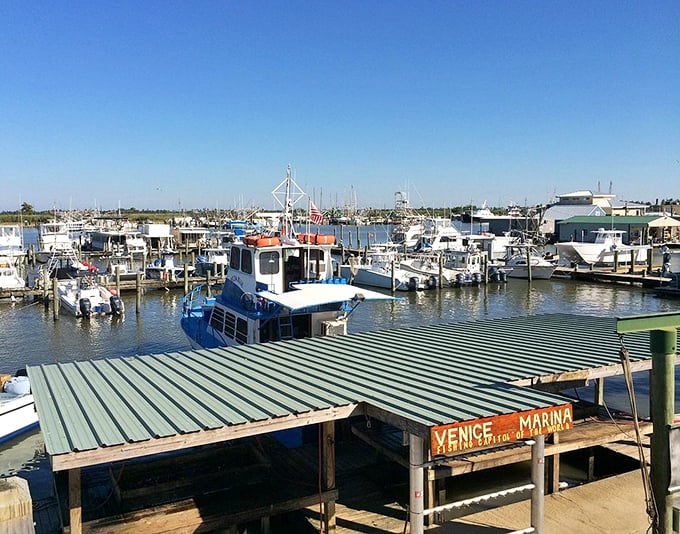 The working port of Venice hums with activity, where shrimp boats and oil supply vessels share the same waters.