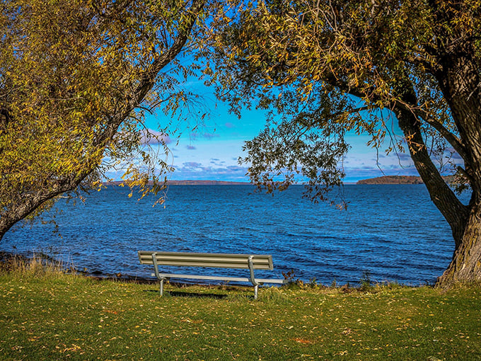 Nature's therapy session: one bench, two trees, and an endless blue horizon. No co-pay required, just bring your thoughts and stay awhile.