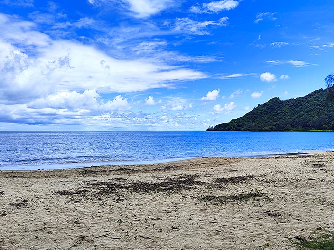 Kahana Bay's pristine shoreline offers the kind of tranquility that expensive meditation apps try desperately to simulate.