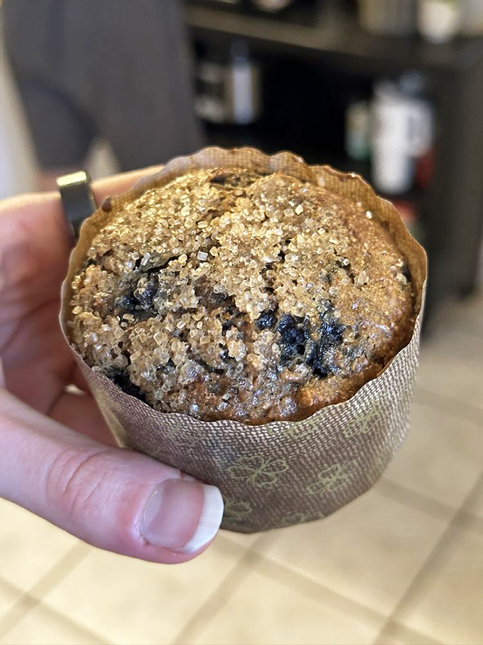 The blueberry muffin that launched a thousand morning commutes, sparkling with sugar and promising little bursts of Maine's favorite fruit in every bite.