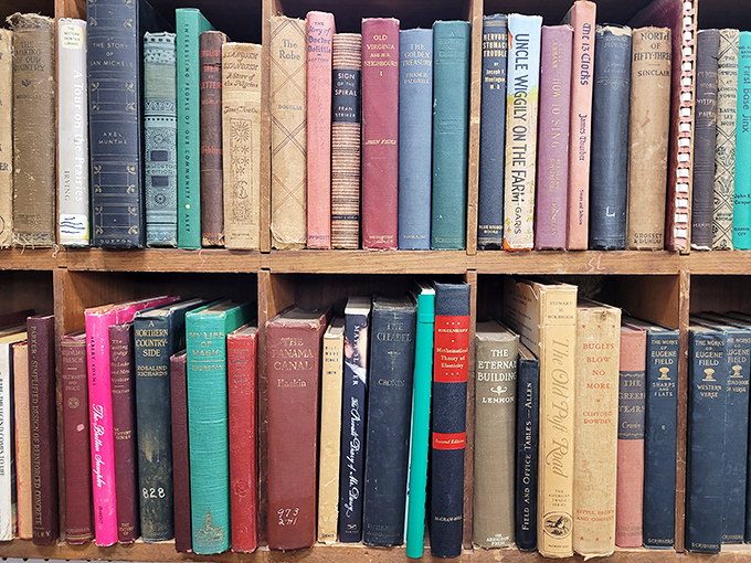A rainbow of vintage book spines tells stories even before you open their covers. Each one a portal to another time, with that irreplaceable old book smell included.