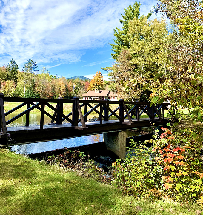This isn't just a bridge&mdash;it's a portal to relaxation. Fall foliage creates the perfect backdrop for contemplating absolutely nothing important.