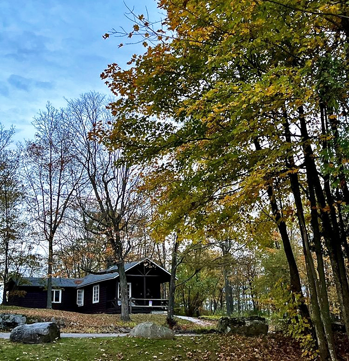 This rustic cabin nestled among golden leaves offers the kind of unplugged luxury no five-star hotel can match.