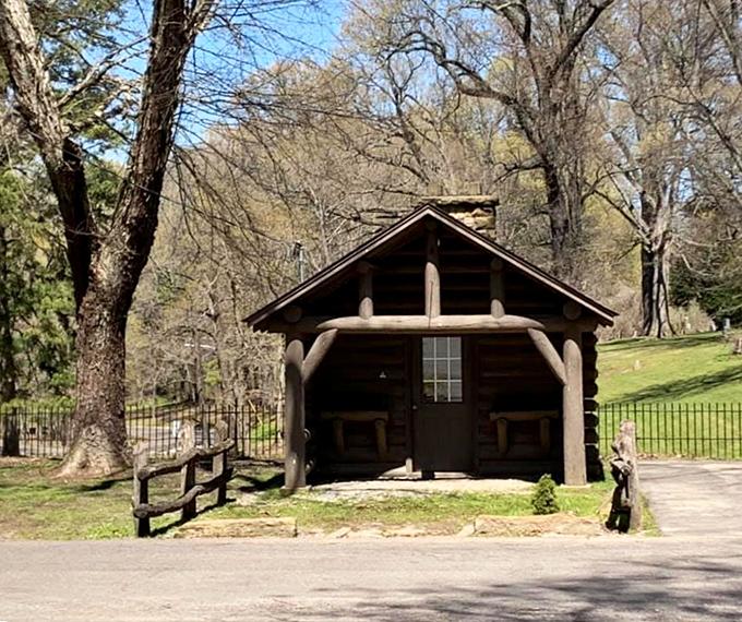 This rustic log shelter looks like it's waiting for Paul Bunyan to stop by for coffee. Simplicity with a side of woodland charm.