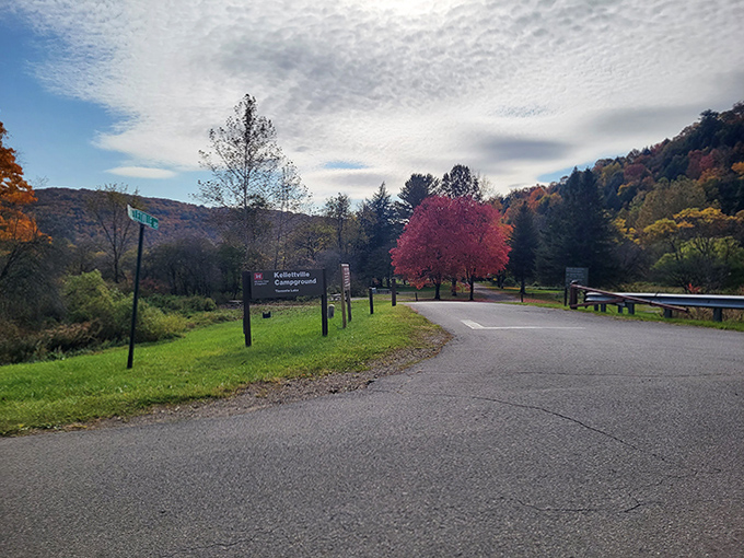 Welcome to Tionesta's campground &ndash; where the entrance sign might as well read "Stress Prohibited Beyond This Point."